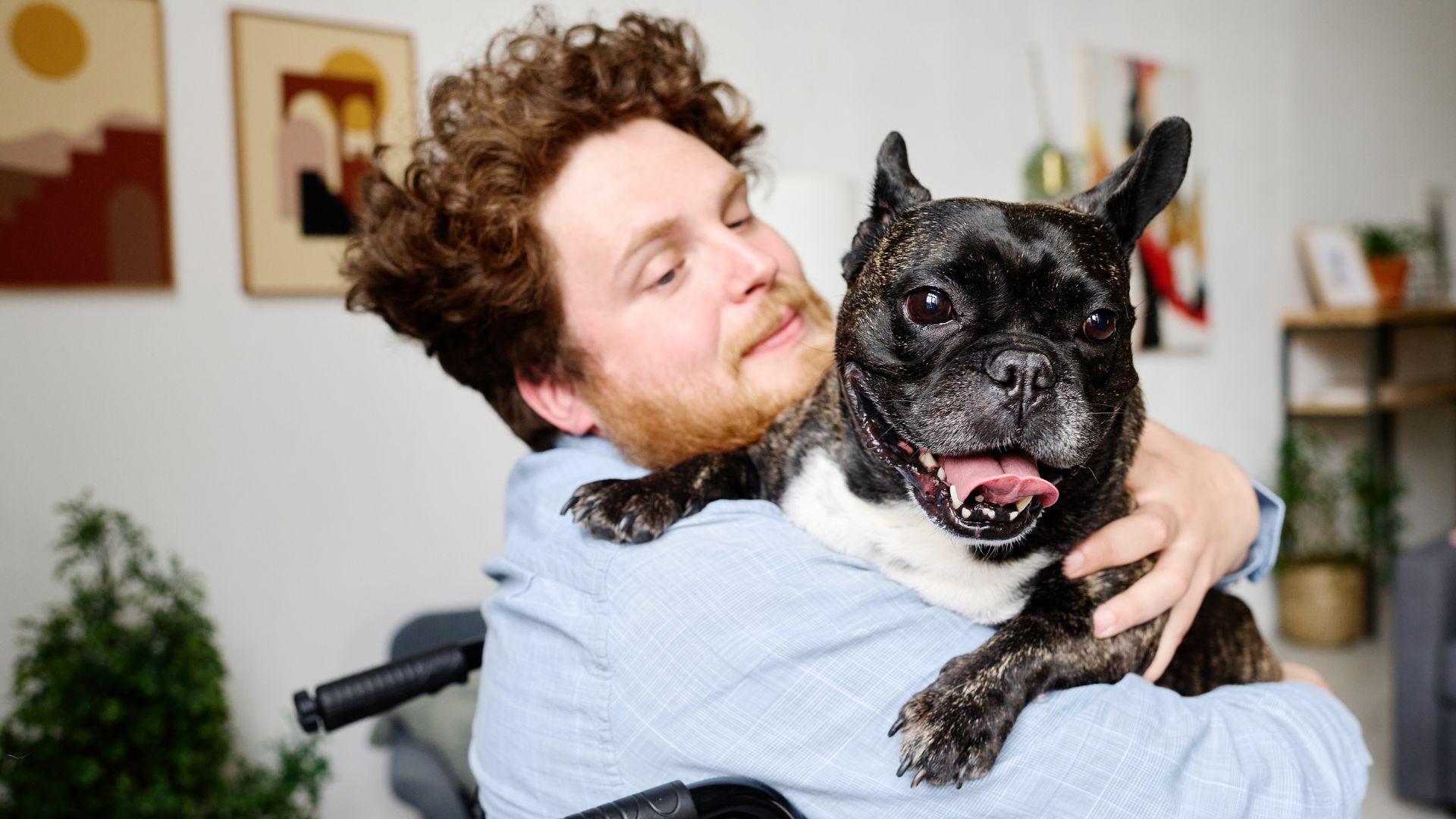 The Impact Of Support Animals For PTSD Therapy